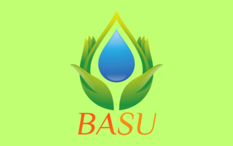 Checkout - BASU Paket Solitaire